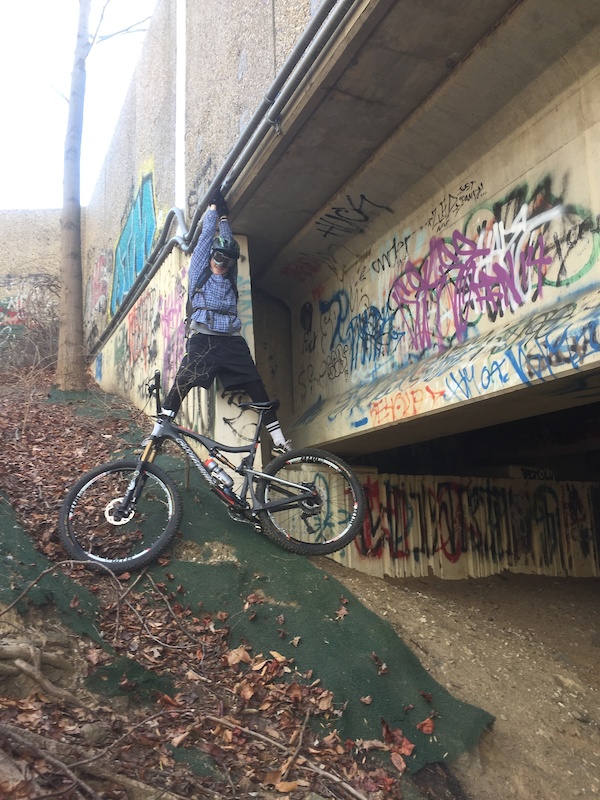 Pine Ridge Loop Mountain Biking Trail - Springfield