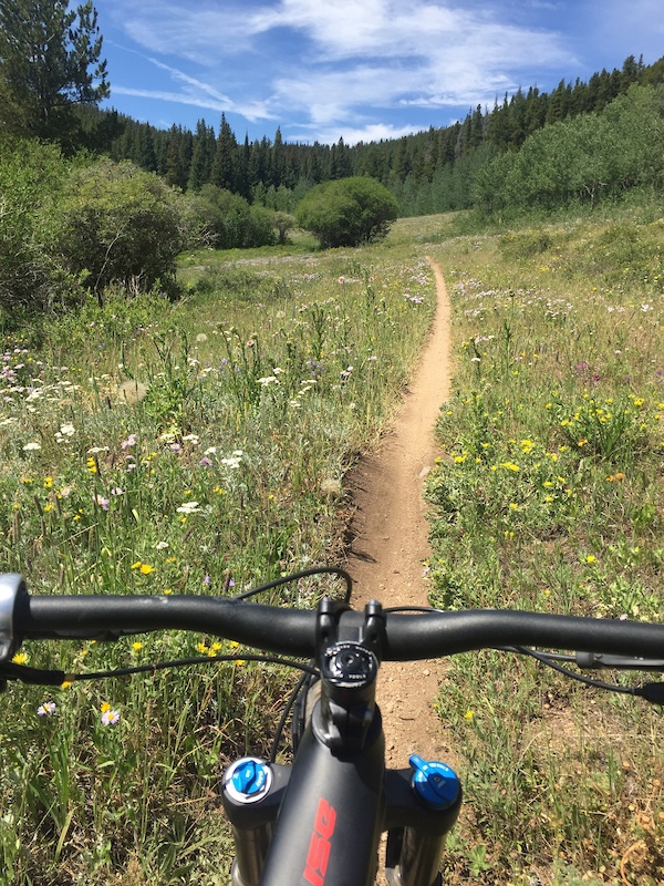 Rocks and Roots Mountain Biking Trail - Nederland, CO