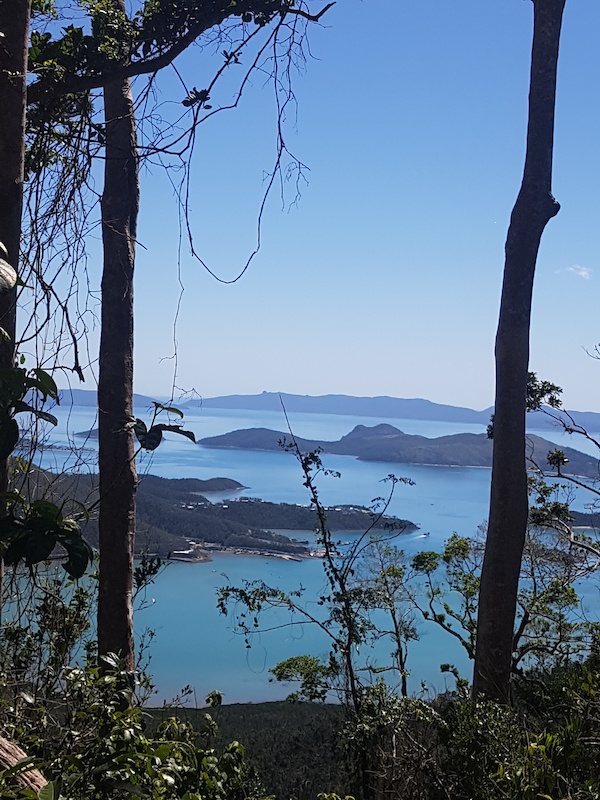 Conway Circuit Mountain Biking Trail - | Trailforks