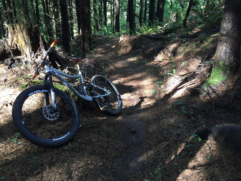 Feeder Line Mountain Biking Trail - Maple Valley, WA