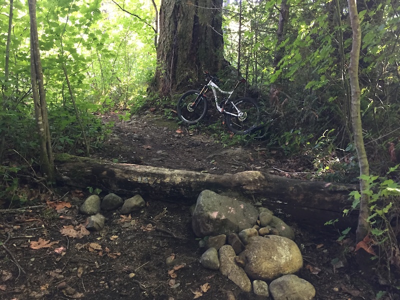 Beaver Tracks Mountain Biking Trail - Maple Valley