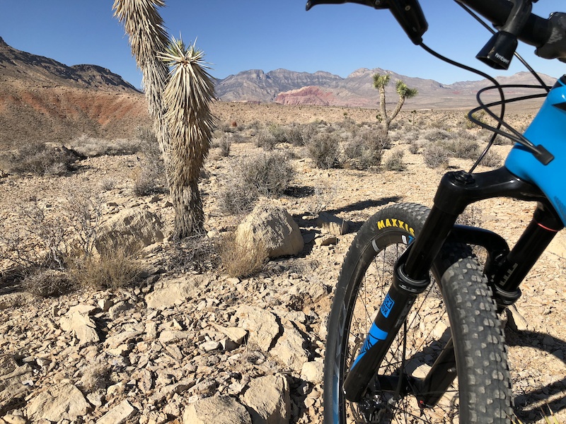 Gnarley Mountain Biking Trail - Las Vegas, Nevada