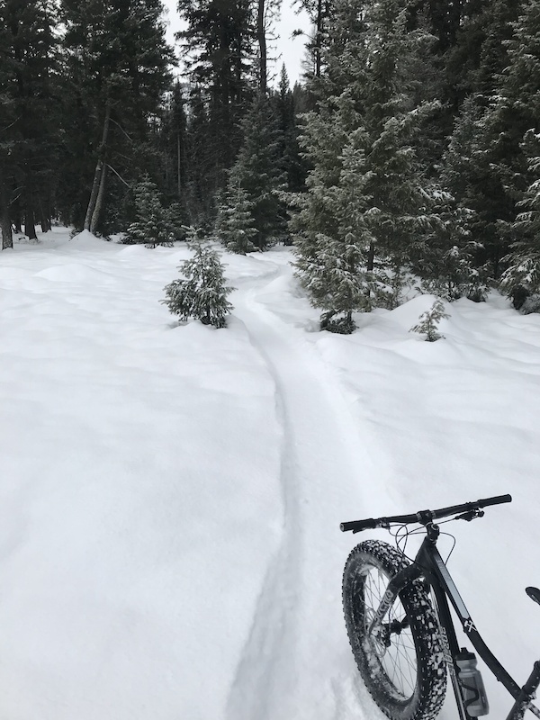 Moose Loops Mountain Biking Trail - Missoula, Montana