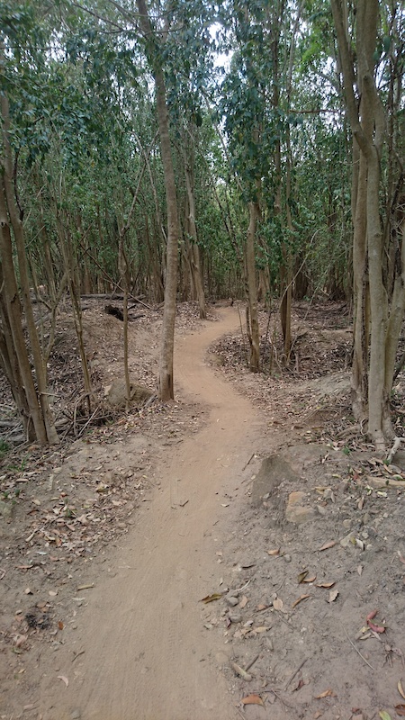Hornsby Enduro Route Mountain Biking Route | Trailforks