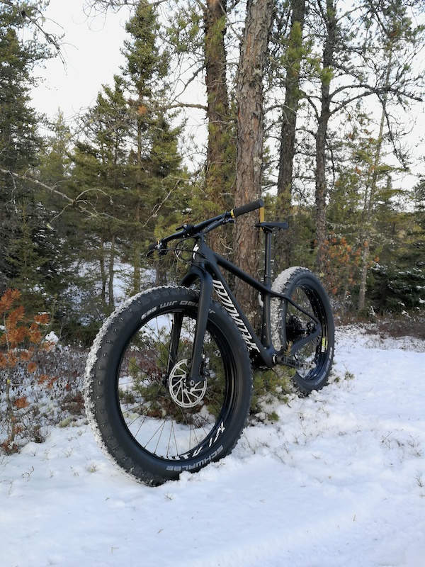 2018 Specialized Fatboy Comp Carbon For Sale