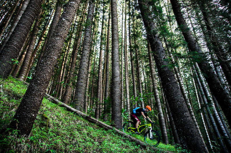 Hauula Loop Trail Mountain Biking Trail - Hauula, HI