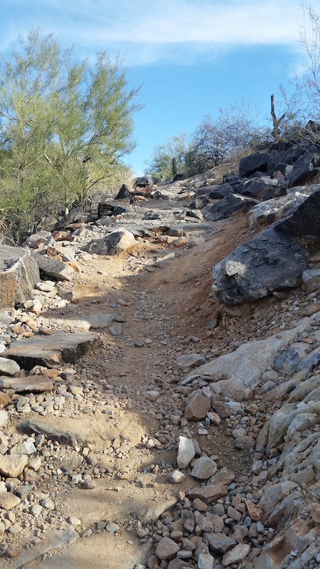 Dreamy Draw (NE) Multi Trail - Phoenix, Arizona