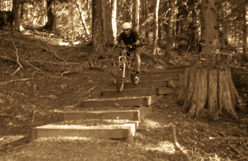 Old Stumpy Mountain Biking Trail - Fernie, BC