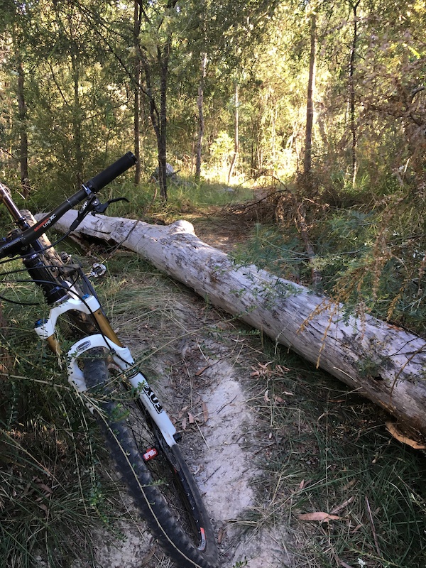 Roger Packham Track Mountain Biking Trail - Bright