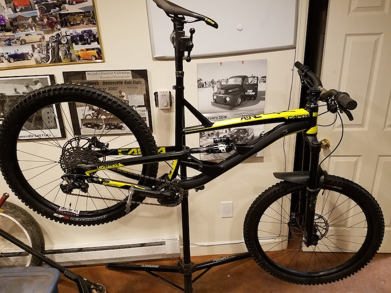 2017 YT Industries Capra AL Custom Size XL For Sale
