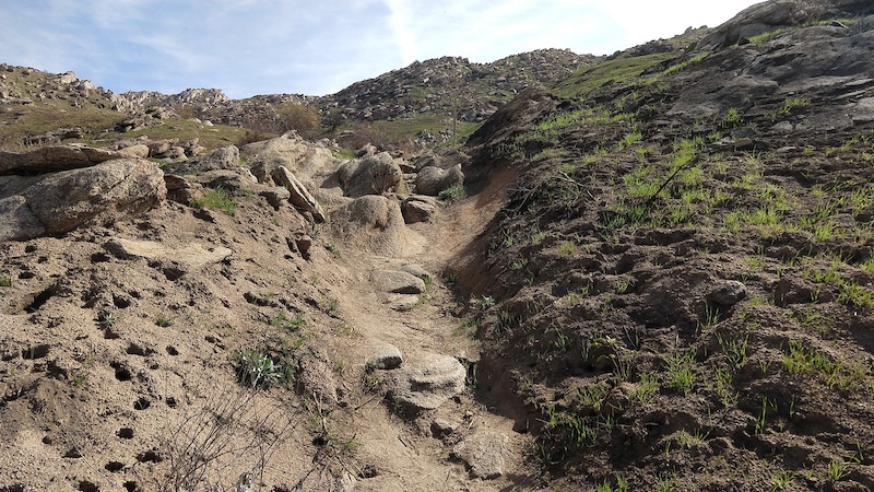 Box Springs , Moreno Valley Mountain Biking Trails | Trailforks