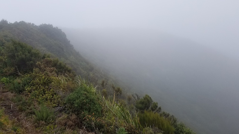 Feb 12, 2018 Rimutaka Rd Summit Track Trail Report | Trailforks