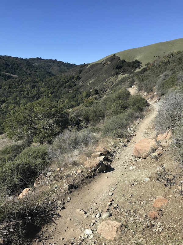 White Hill / Porcupine, Repack & Tamarancho tour. Mountain Biking Route ...