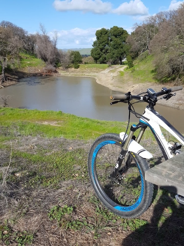 Upper Buck Mountain Biking Trail - Walnut Creek, CA