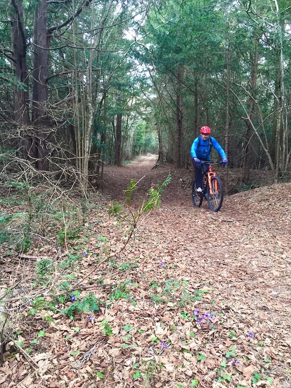 Easy Boge Mountain Biking Route | Trailforks