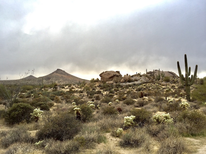 Easy Sunday Morning Route Mountain Biking Route | Trailforks