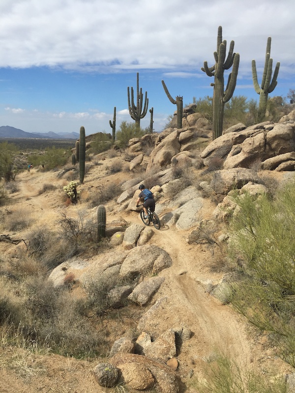 Best of Brown's Ranch Loop Mountain Biking Route | Trailforks