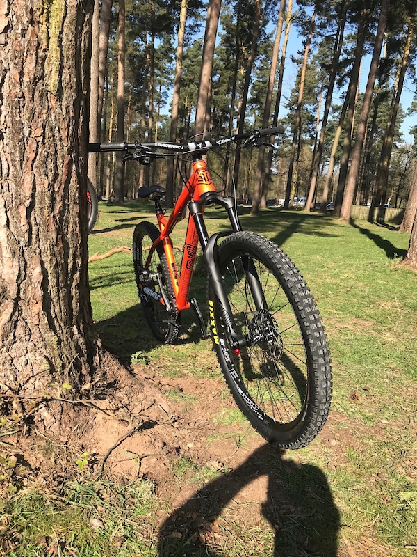 2017 Bird Zero AM For Sale