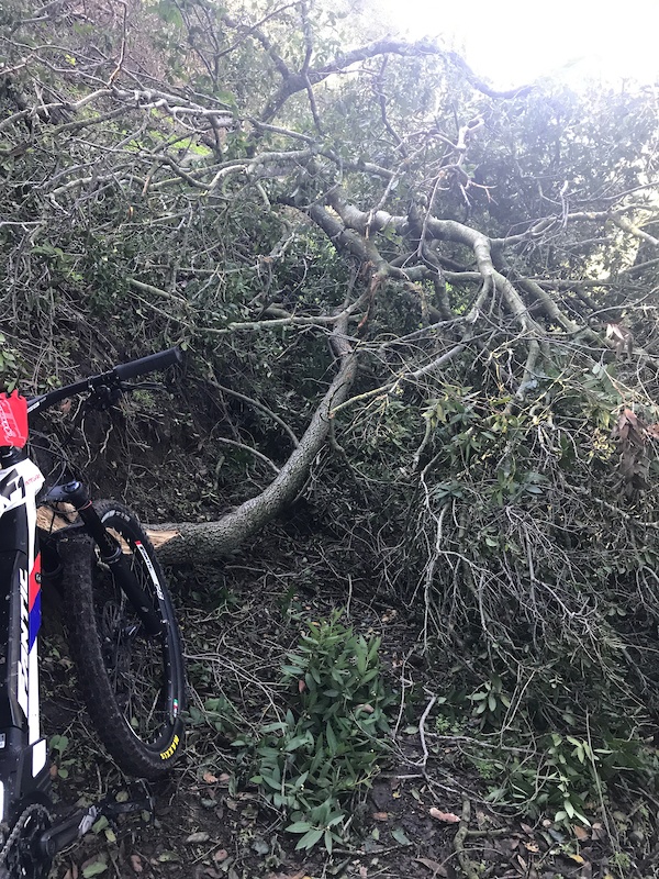 Tree Frog Mountain Biking Trail - Crockett, California