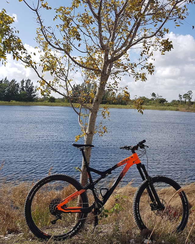 Quiet Waters Park Mountain Biking Trails | Trailforks