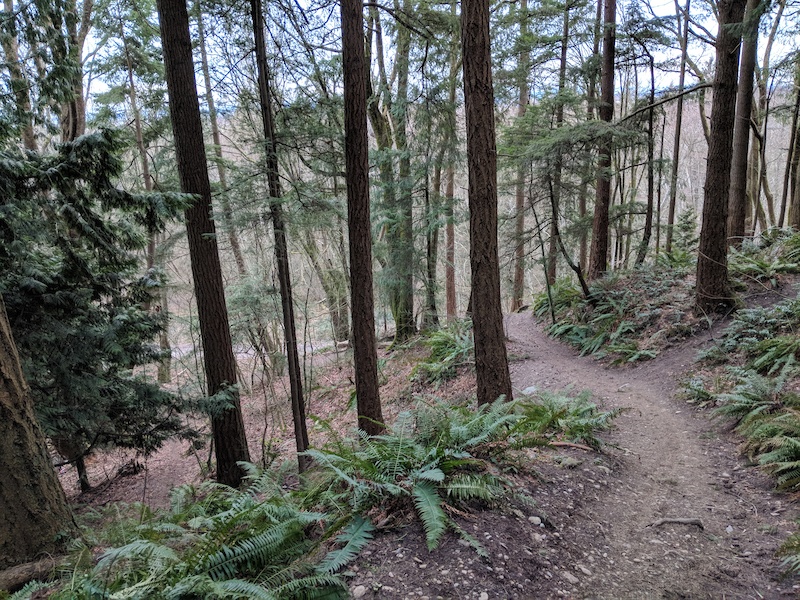 Drop Out Mountain Biking Trail - Delta, British Columbia