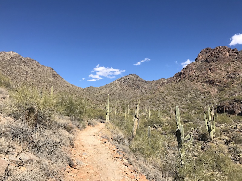 Windgate Pass to Bell Pass Mountain Biking Route | Trailforks