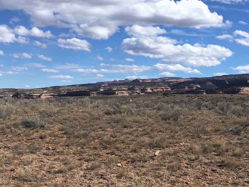 Rustlers Loop Mountain Biking Trail - Fruita, Colorado