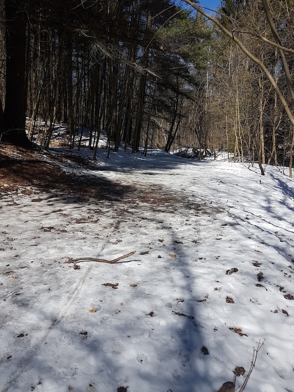Spring Valley Trail Mountain Biking Trail - Dundas