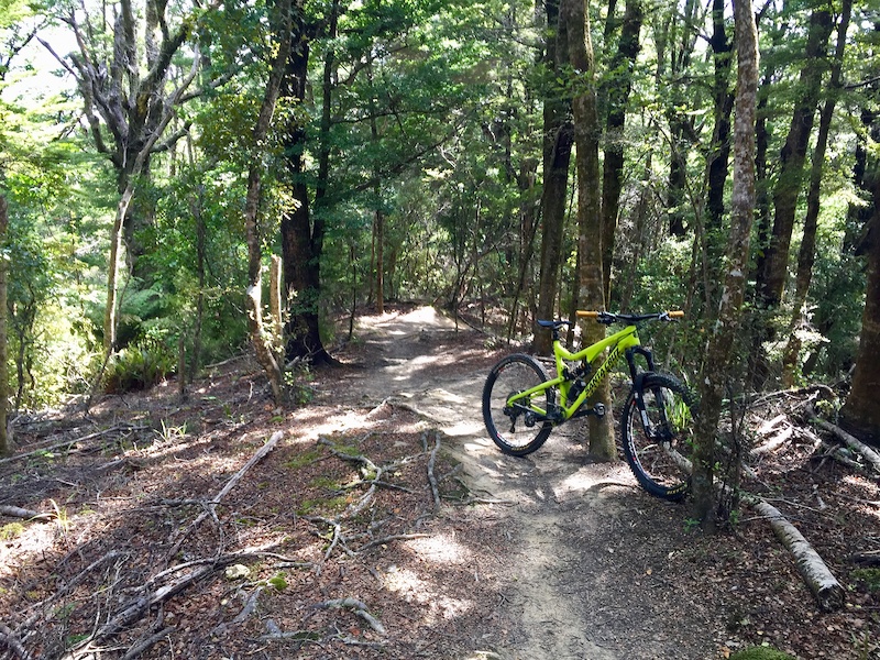 Mt Lowry Mountain Biking Trail - Lower Hutt | Trailforks