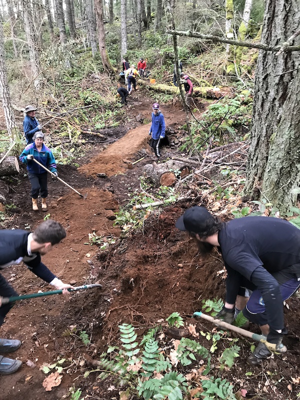 Danalyzer Mountain Biking Trail - Duncan, BC