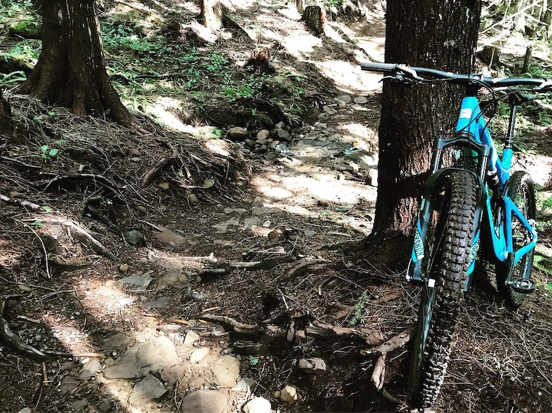 Three Thirty Eight Mountain Biking Trail - Sandy, Oregon