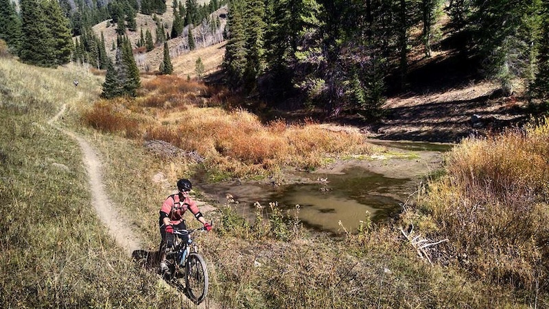 North Fork Bear Creek Mountain Biking Trail - Swan Valley