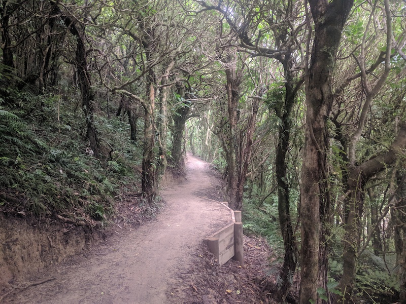 BOBs Colonial Knob Mountain Biking Route | Trailforks