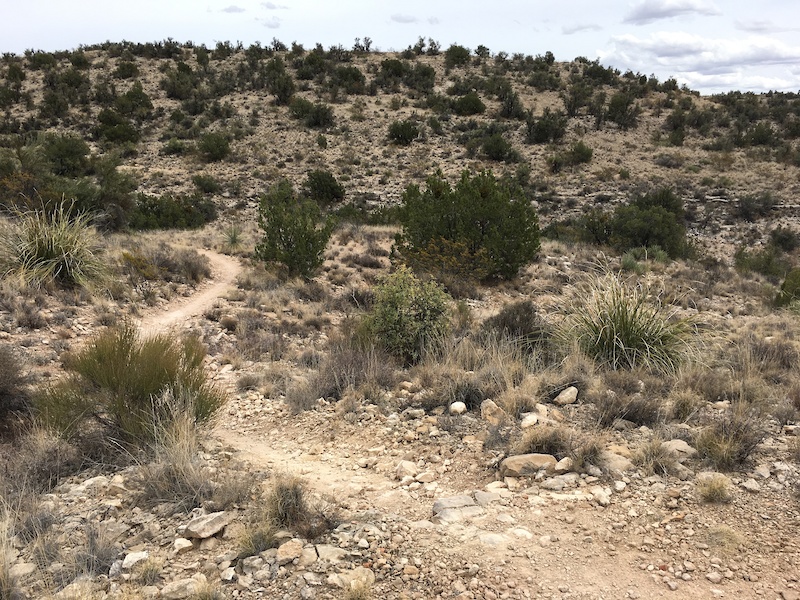Dead Horse Loop Mountain Biking Route | Trailforks