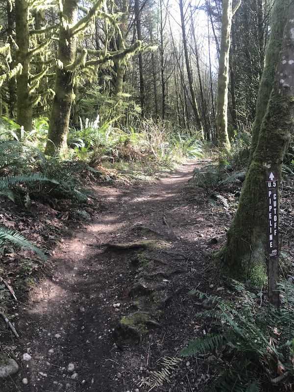 Rock Candy Bypass Multi Trail - Snohomish, Washington