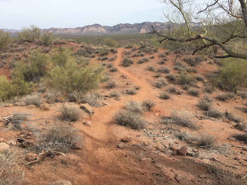 Coon Bluff Ridge Trail Multi Trail - Mesa, Arizona