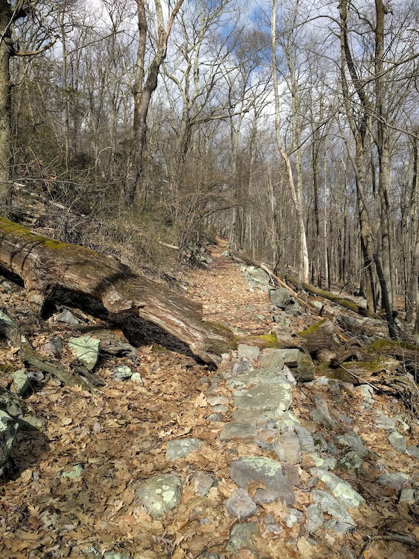 Super Happy Fun Cooper's Gap Mountain Biking Route | Trailforks