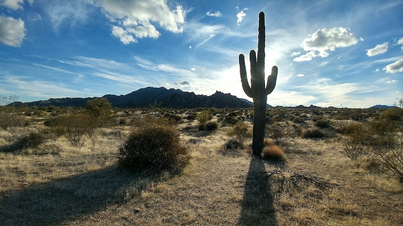 Pemberton (SW) Multi Trail - Fountain Hills, Arizona