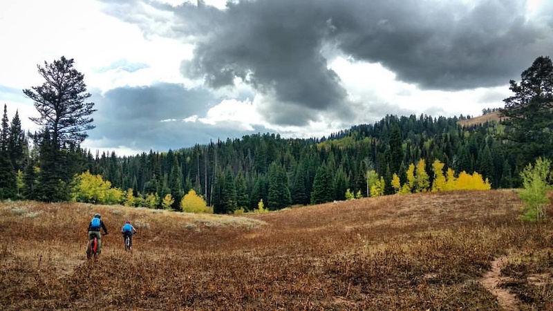 Crooked Creek Mountain Biking Trail - - Idaho