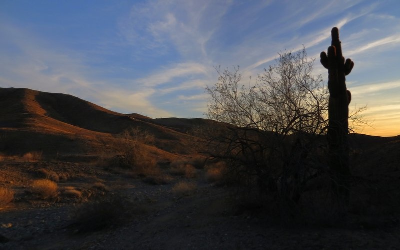 8-Ball Mountain Biking Trail - Yuma, Arizona