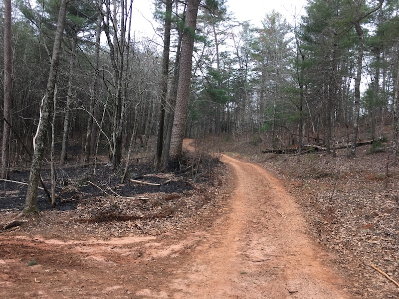 Jake Mountain Mountain Biking Route | Trailforks