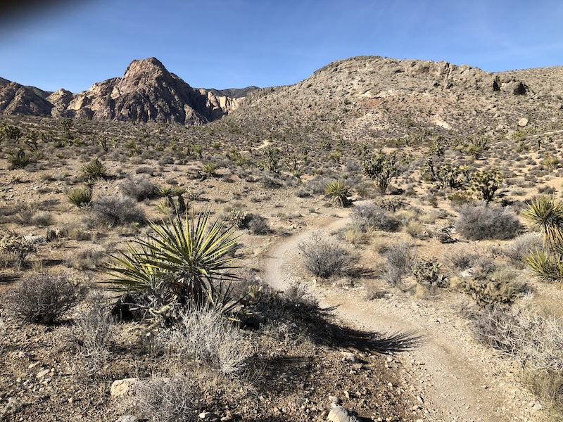 Beginner/Mustang Loop Mountain Biking Route | Trailforks