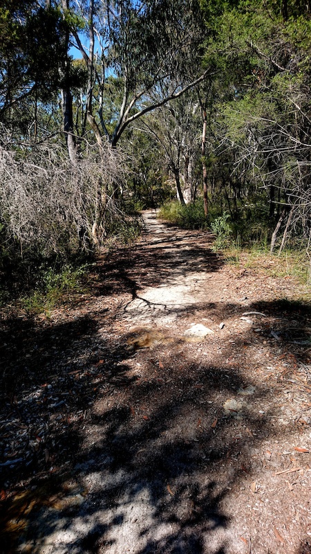 Nerang Trail Multi Trail - Terrey Hills, Sydney