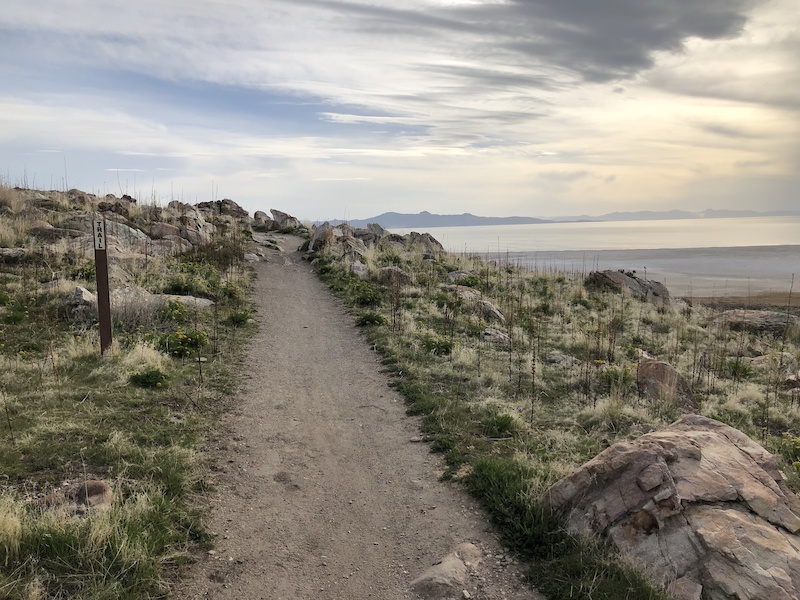 White Rock Loop Mountain Bike Trail - Syracuse, Utah