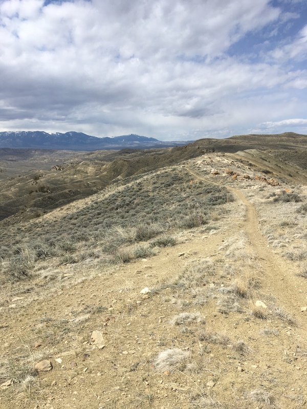 50 / 50 Mountain Biking Trail - Belfry, Montana