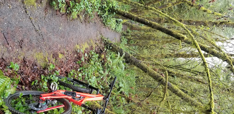 Croisan Creek, Salem Mountain Biking Trails | Trailforks
