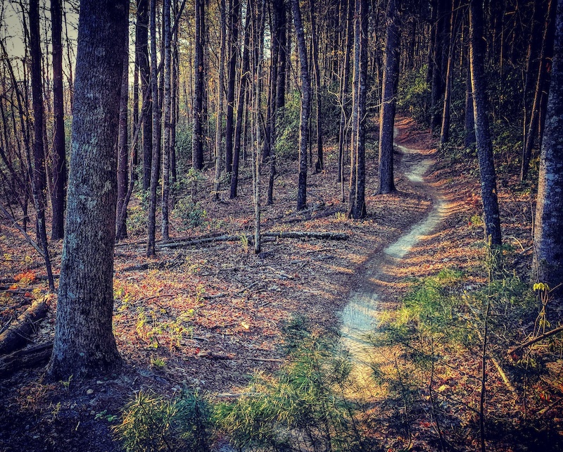 Jim Branch Alt Multi Trail - Cedar Mountain, NC