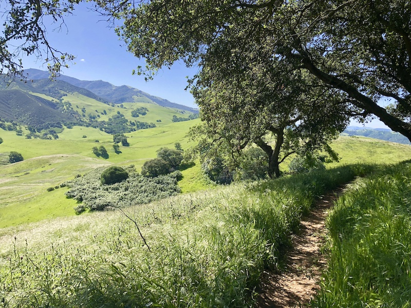 Apr 19, 2018 Paradise Valley Trail Report | Trailforks