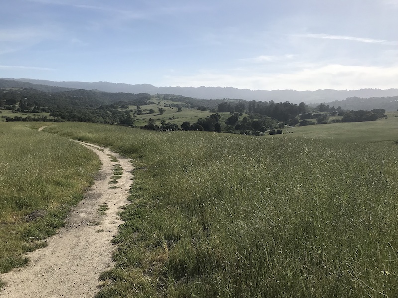 Redtail Loop Trail Multi Trail - Palo Alto, California