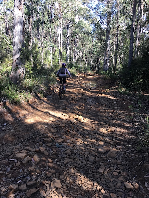 Snug Tiers Nature Recreation Area Mountain Biking Trails | Trailforks